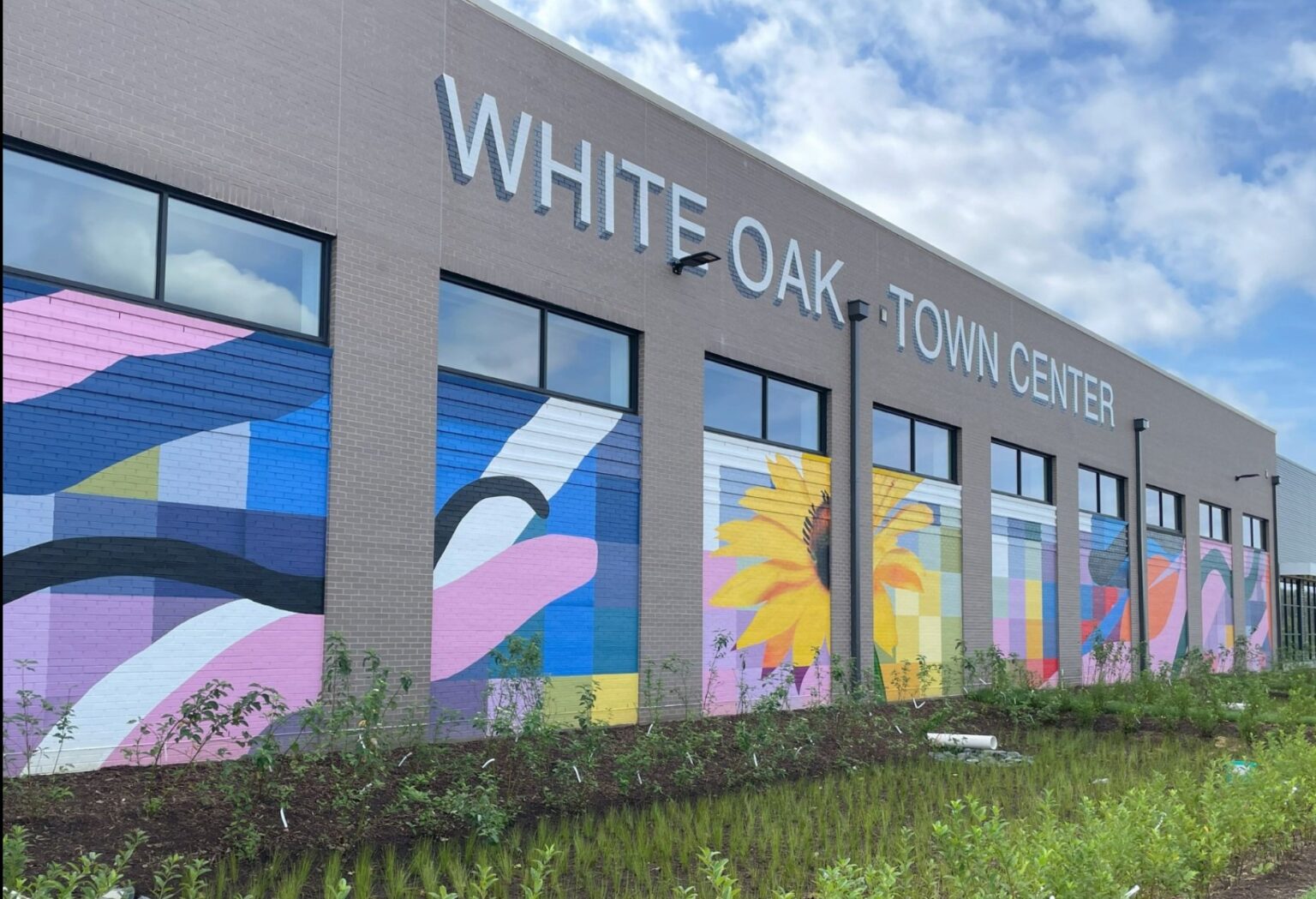 Discover Modern Urban Development - Friends of White Oak